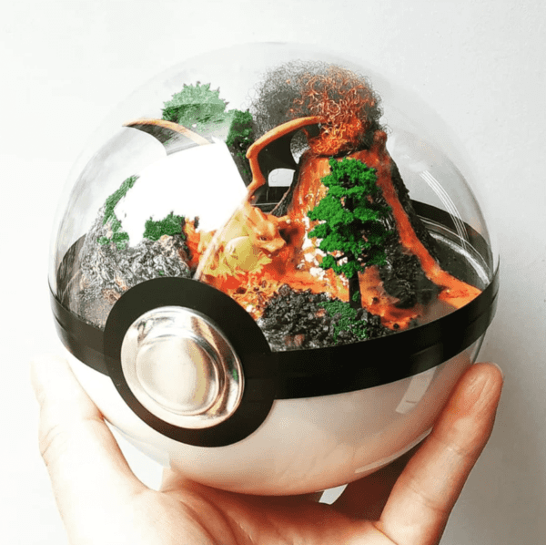 Pokemon Pokeball Terrariums - Terrarium Creations