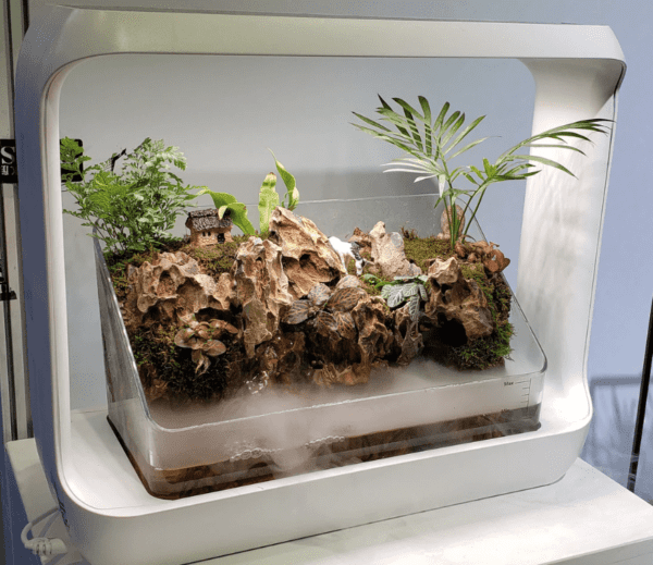 DIY Waterfall Terrarium Kit - Terrarium Creations