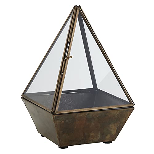 20 Unique Terrariums You Can Get on Amazon - Terrarium Creations