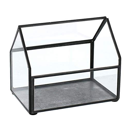 20 Unique Terrariums You Can Get on Amazon - Terrarium Creations