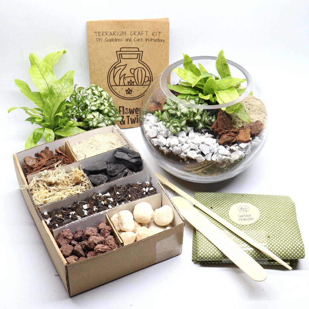 Handmade Miniature Tiny Terrarium Cage - Terrarium Creations