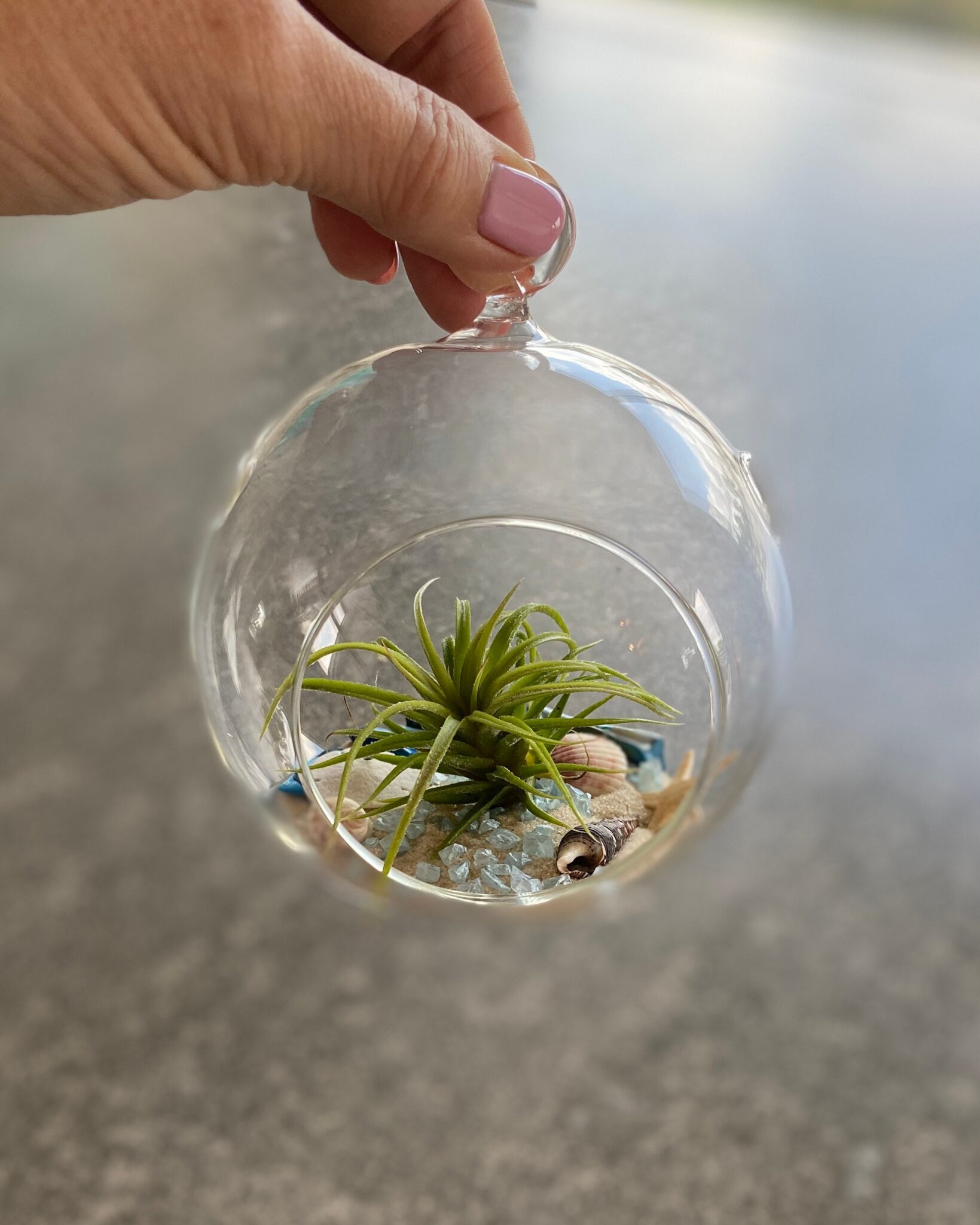 Handmade Miniature Tiny Terrarium Cage - Terrarium Creations
