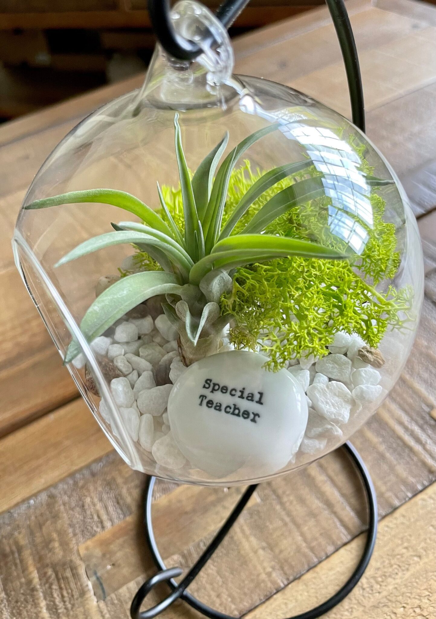 Diy Terrarium Air Plant Kit, Glass With A Stand. "Special Teacher ...