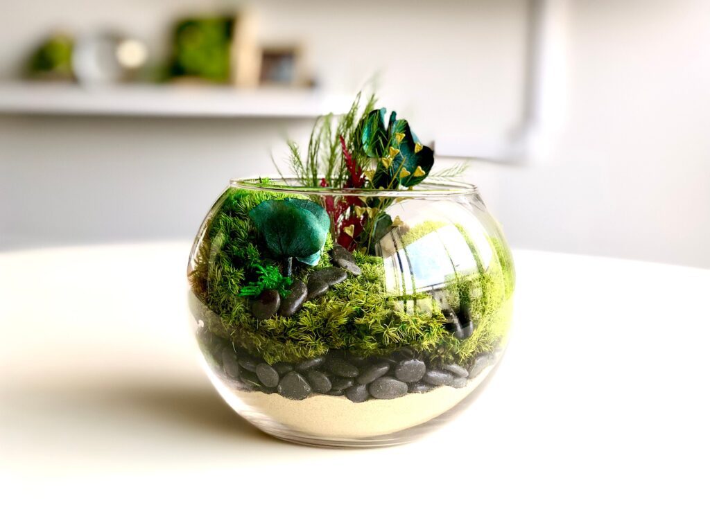 Diy Terrarium Kit, Glass Terrarium, Moss Christmas Gift, Birthday Team ...