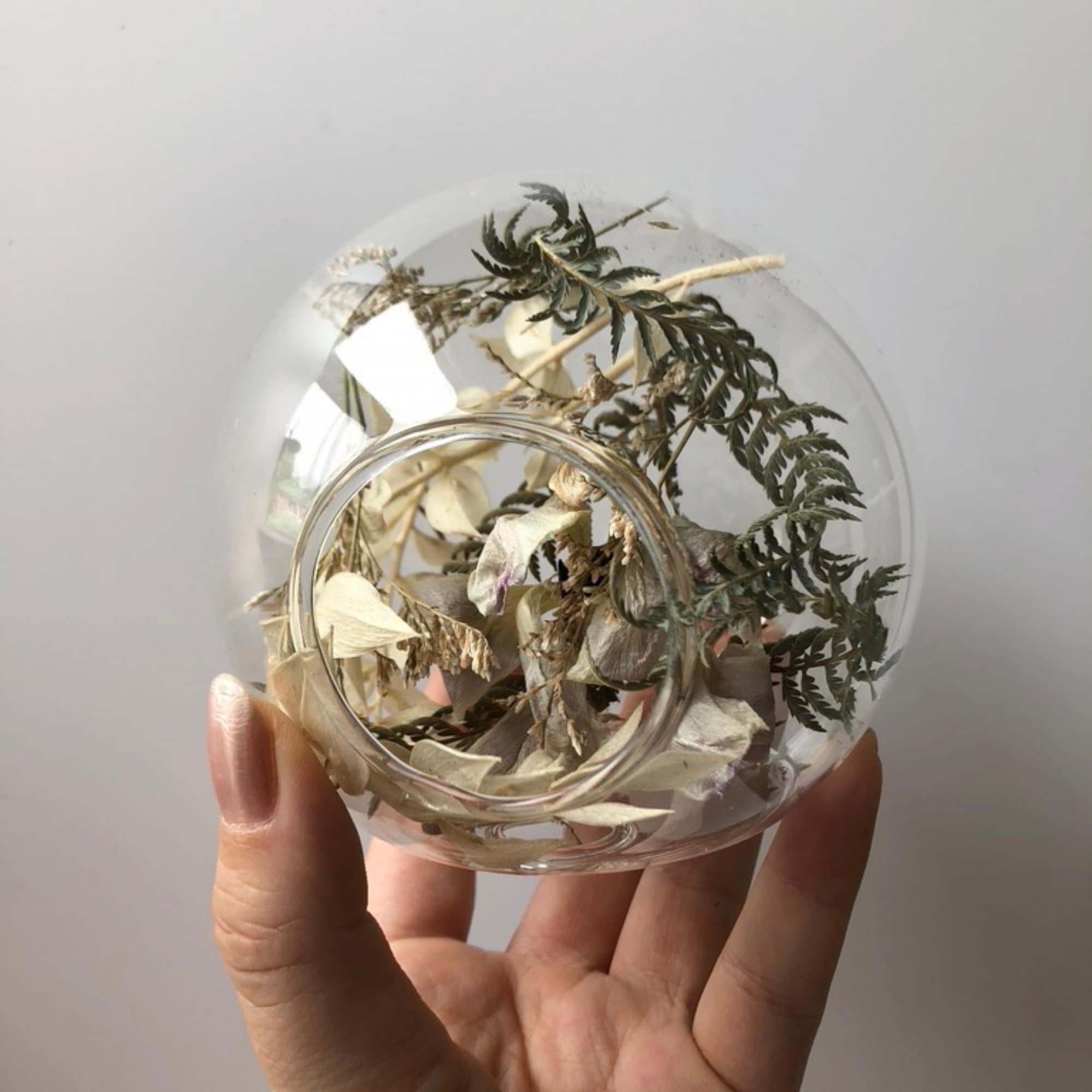 Everlasting Terrarium; Glass Dried Flower Preserved Flowers; Herbarium ...