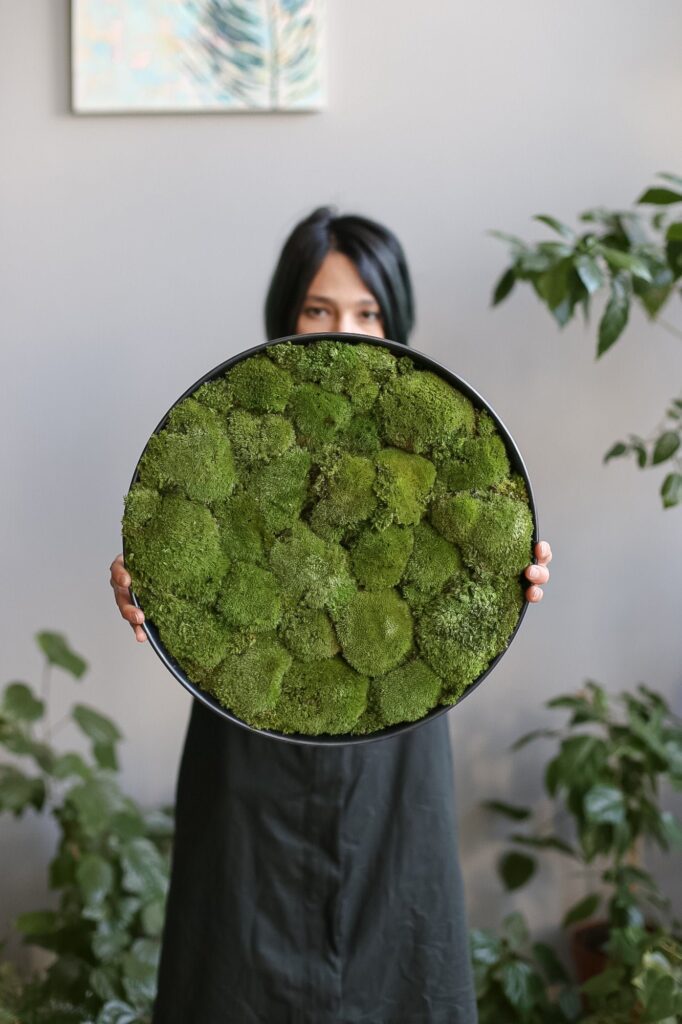 Framed Preserved Moss, Greenery Wall Art, Green Herb Home Decor, Living Plant Round Panel ...