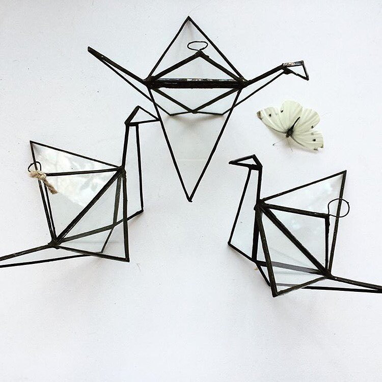 NCYP House Terrarium With Ventilation - Terrarium Creations