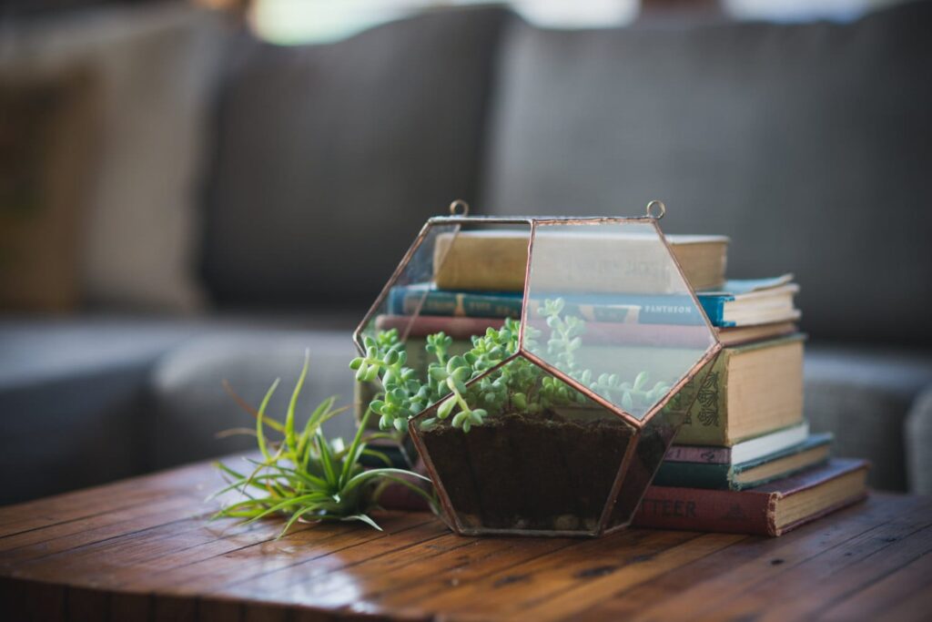 Shop for High-End Luxury Terrariums - Terrarium Creations