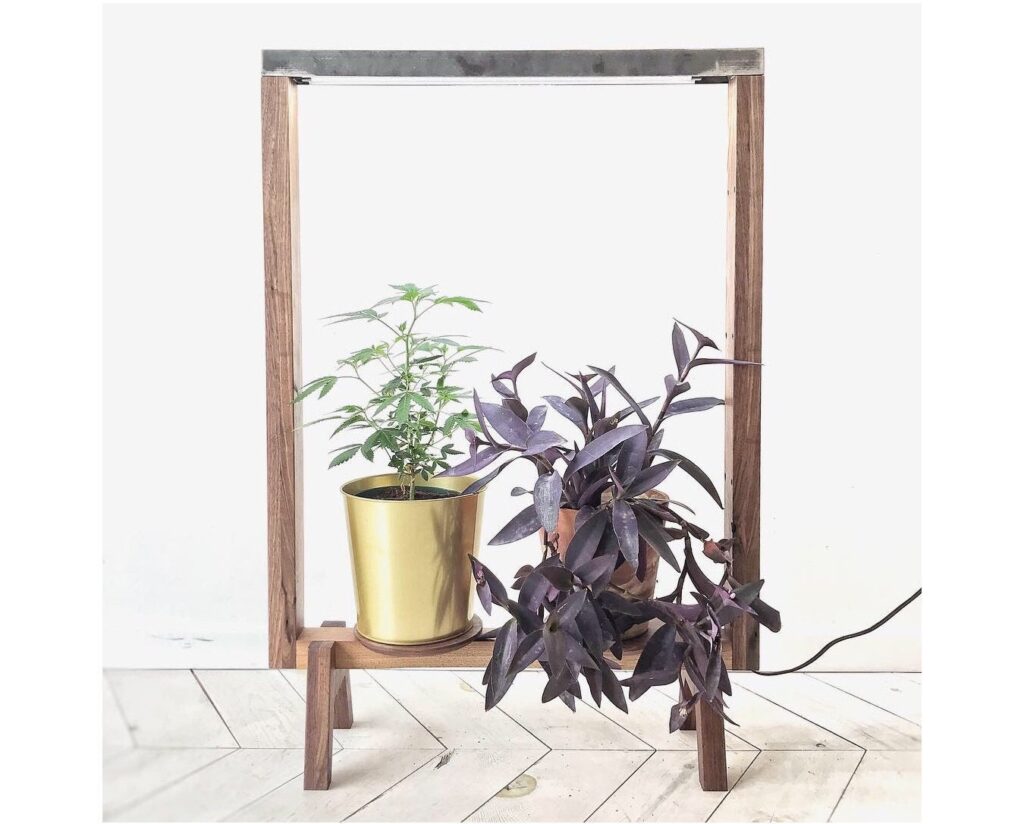 Shop for Terrarium Lighting - Terrarium Creations