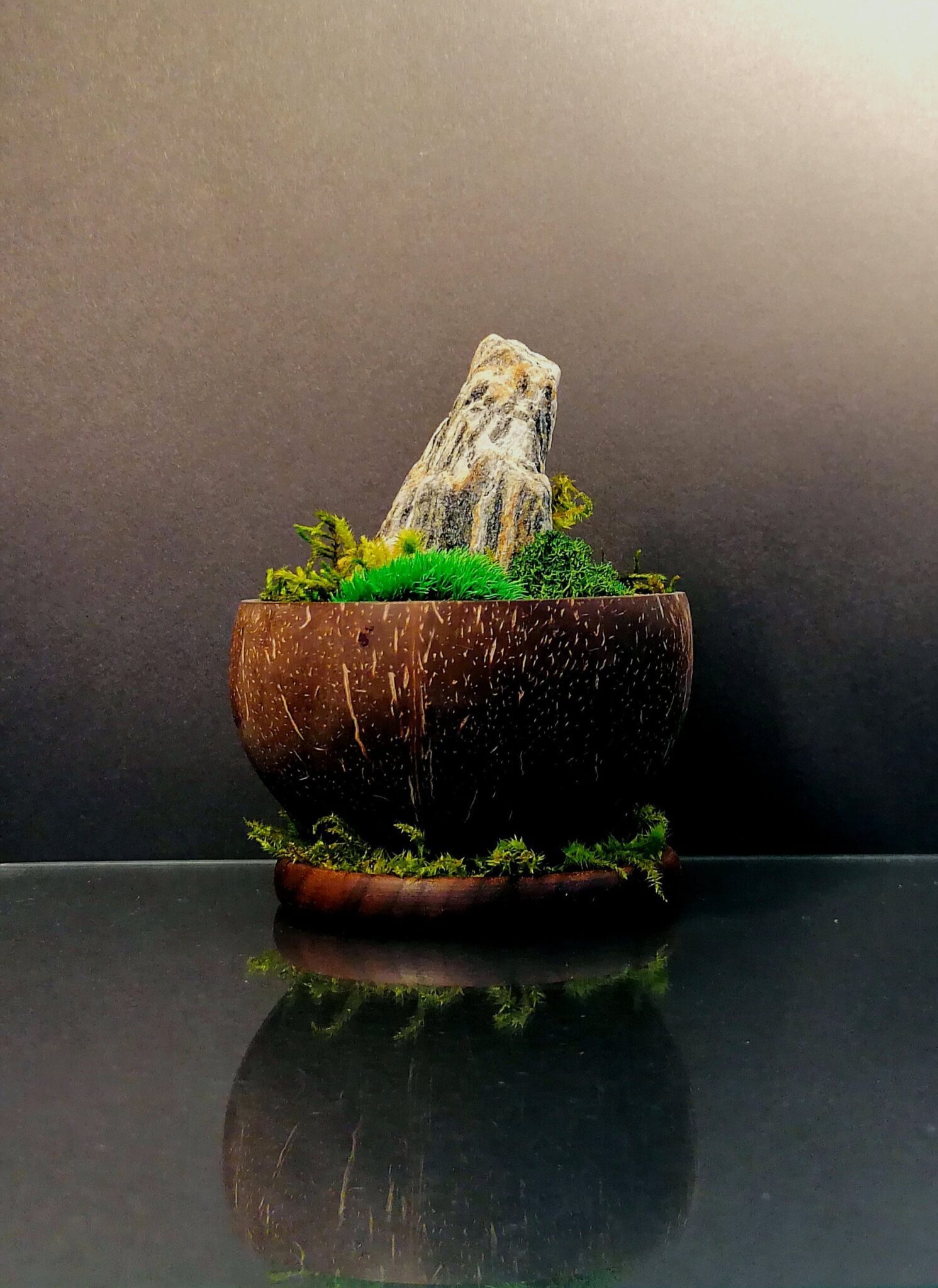 Vertex Ultra Preserved Moss Terrarium - Terrarium Creations