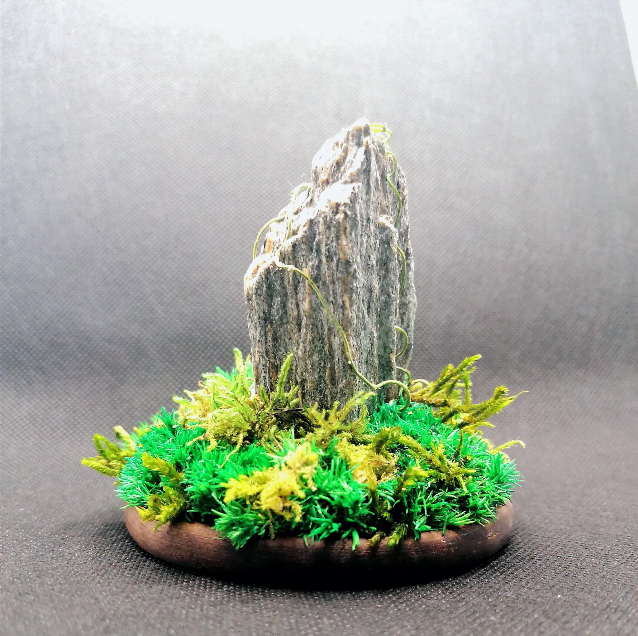 Vertex Ultra Preserved Moss Terrarium - Terrarium Creations