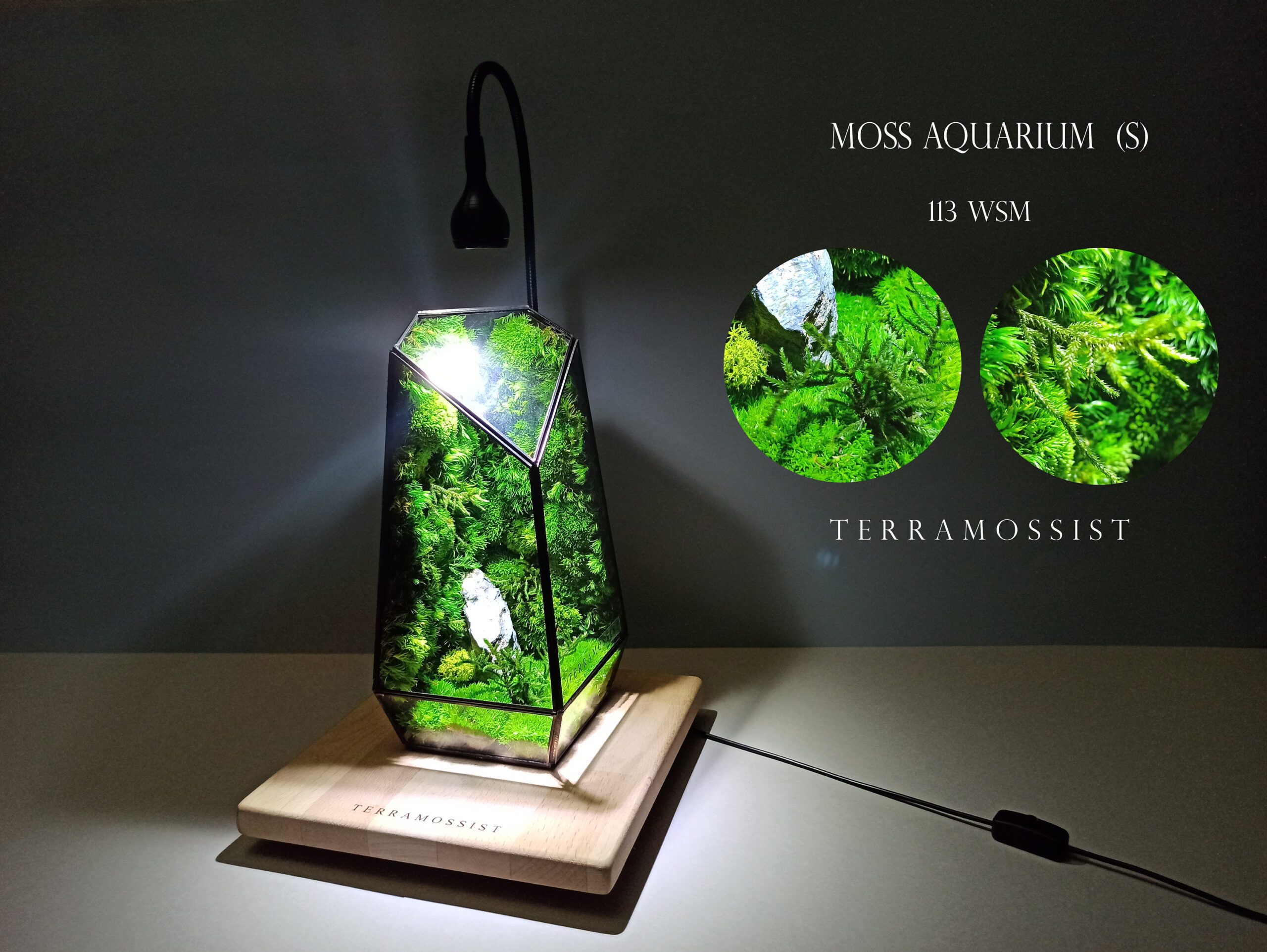 Miniature Forest Art Plant Vertex Kit Preserved Moss Glass Vessel ...