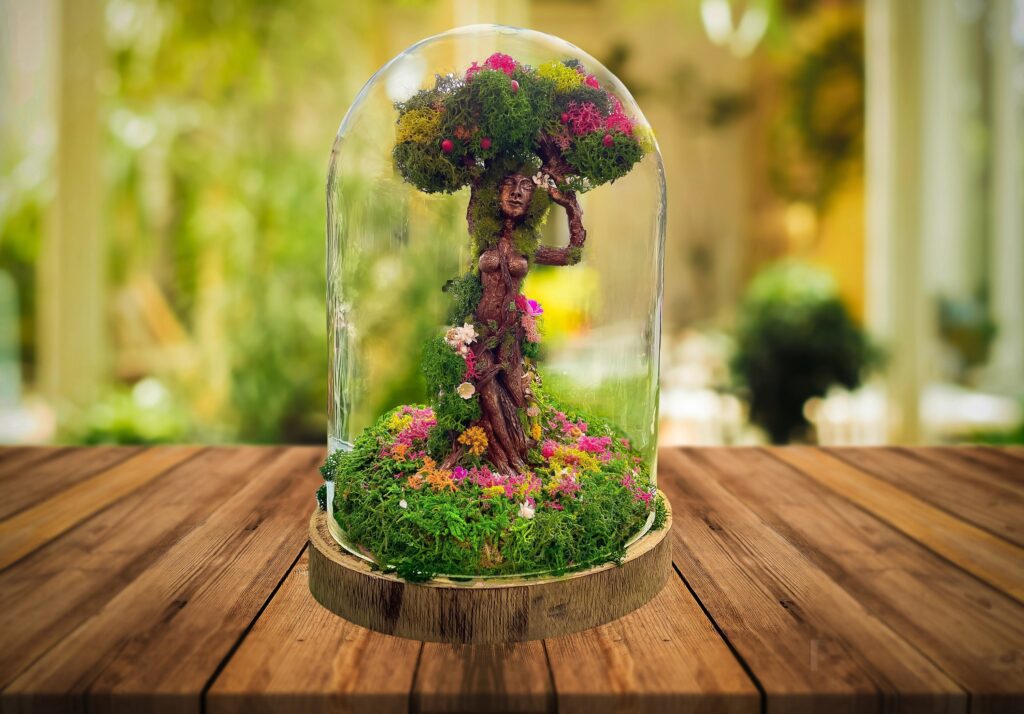 Shop for High-End Luxury Terrariums - Terrarium Creations