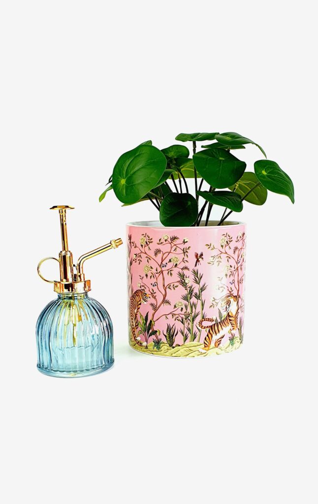 Plant Mister Gift Set, Planter, Faux Plant, Plants, Water Mister, For ...