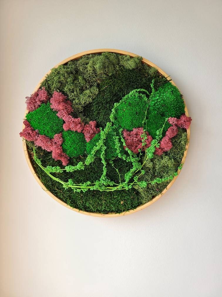Preserved Moss Art, Hanging Round Frames - Terrarium Creations