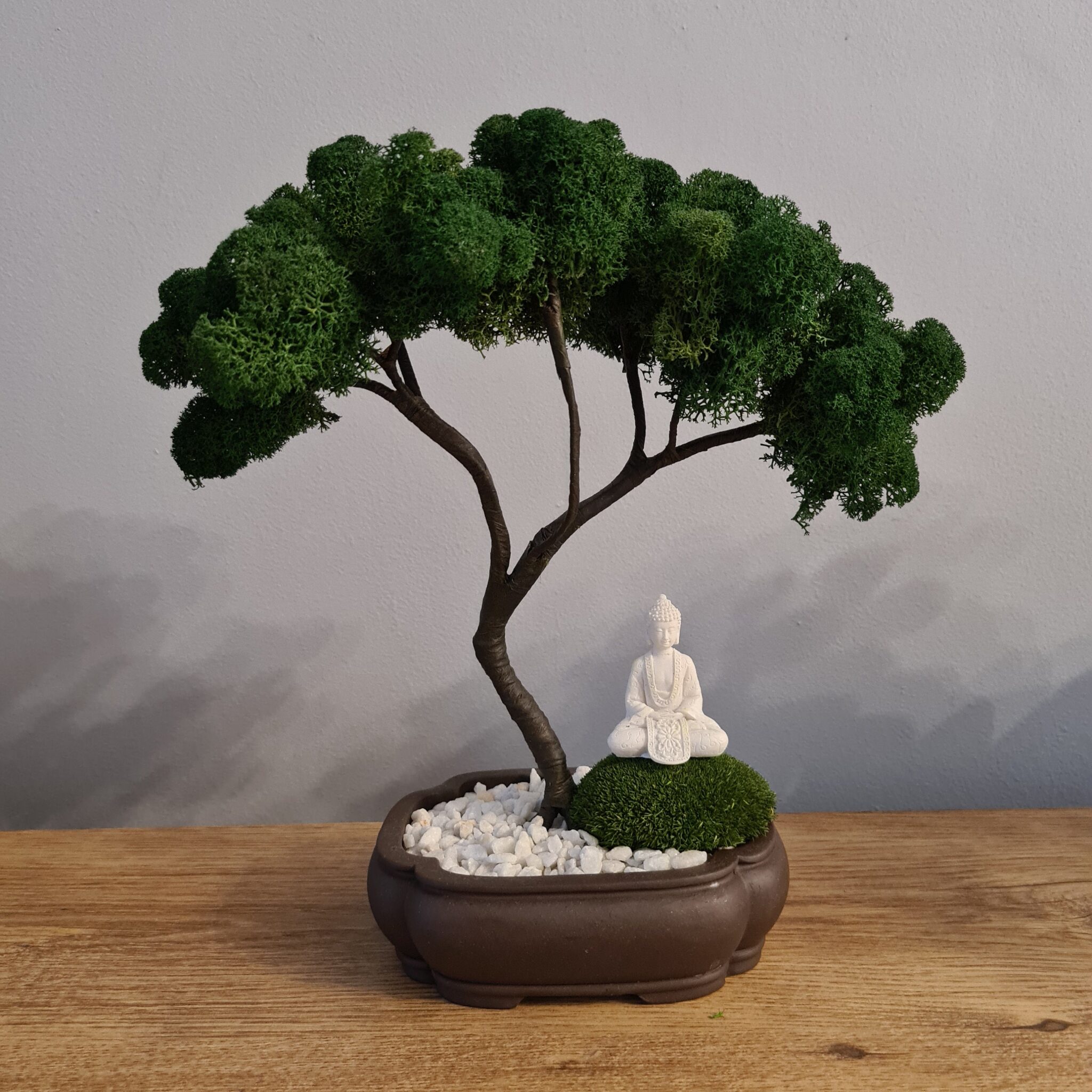 Preserved Moss Bonsai Tree | Buddha Unique Tranquility, Zen, Nature Art ...