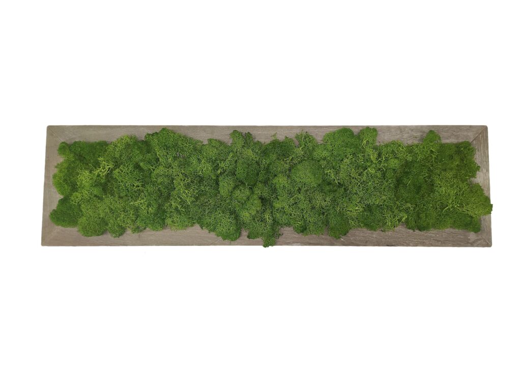 Rectangle Wooden Moss Frame/Tray in 11 Colors | Moss Wall Green Wall ...