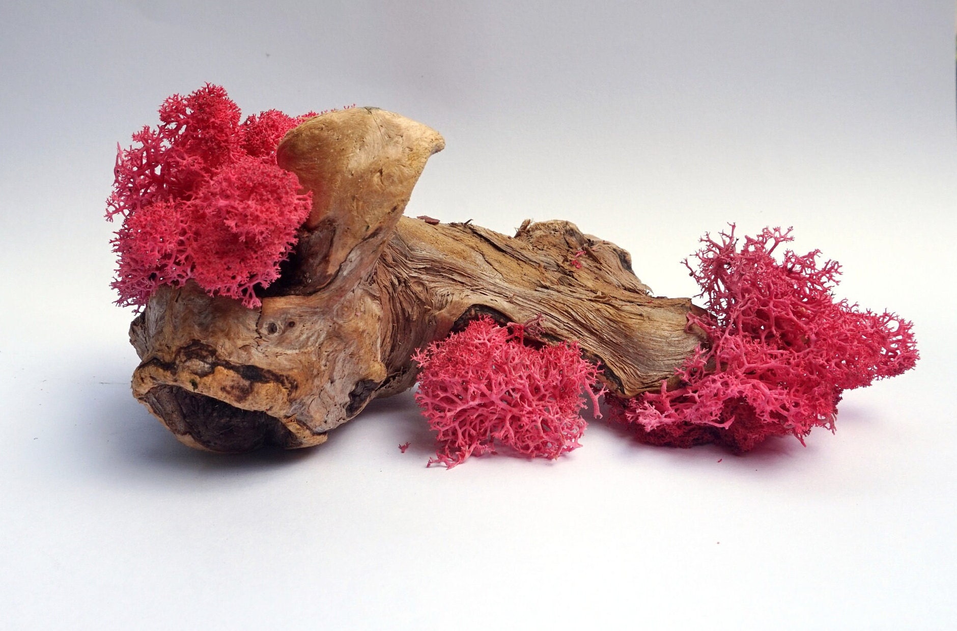 Crystal Preserved Moss Terrarium by GreenhomeDESIGN - Terrarium Creations