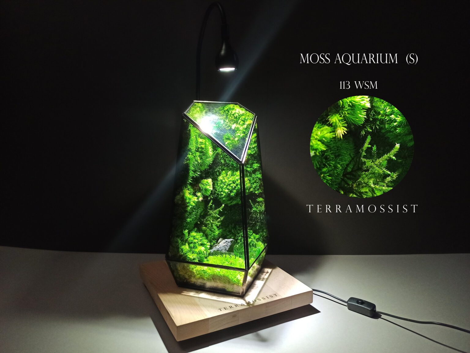 Moss Tiles - Reindeer Moss Wall - Terrarium Creations