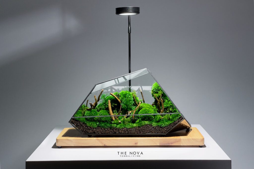 The Nova - Heart Of Forest, Zero Preserved Moss Terrarium, Futuristic ...