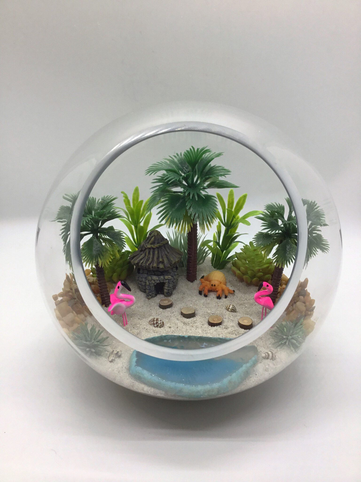 NCYP Dome Glass Birdhouse Terrarium - Terrarium Creations