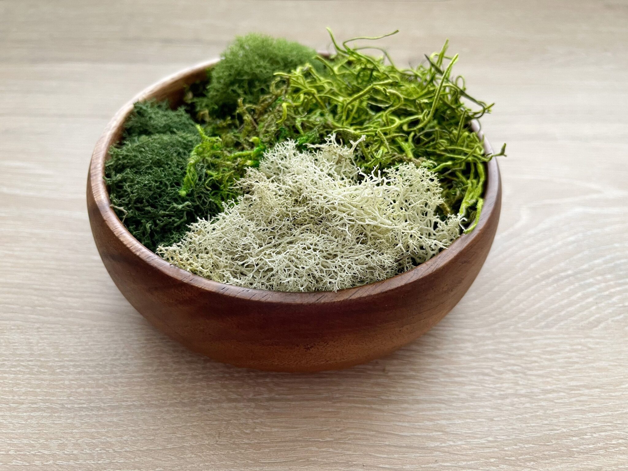 Vertex Ultra Preserved Moss Terrarium - Terrarium Creations