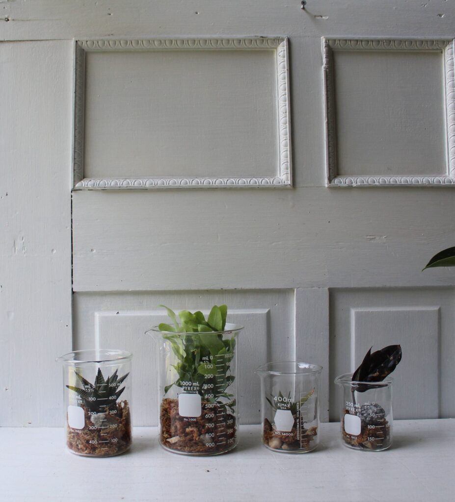 Your Choice Vintage Lab Glass Beaker 1000 Ml // 600Ml 400 250 - Pyrex ...