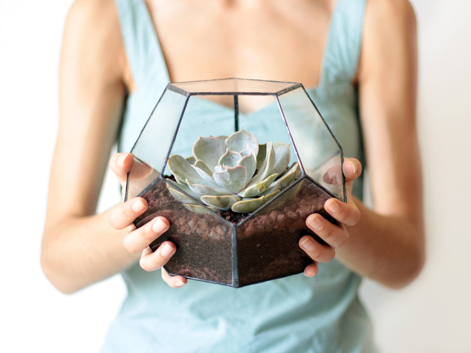 Crystal Preserved Moss Terrarium by GreenhomeDESIGN - Terrarium Creations