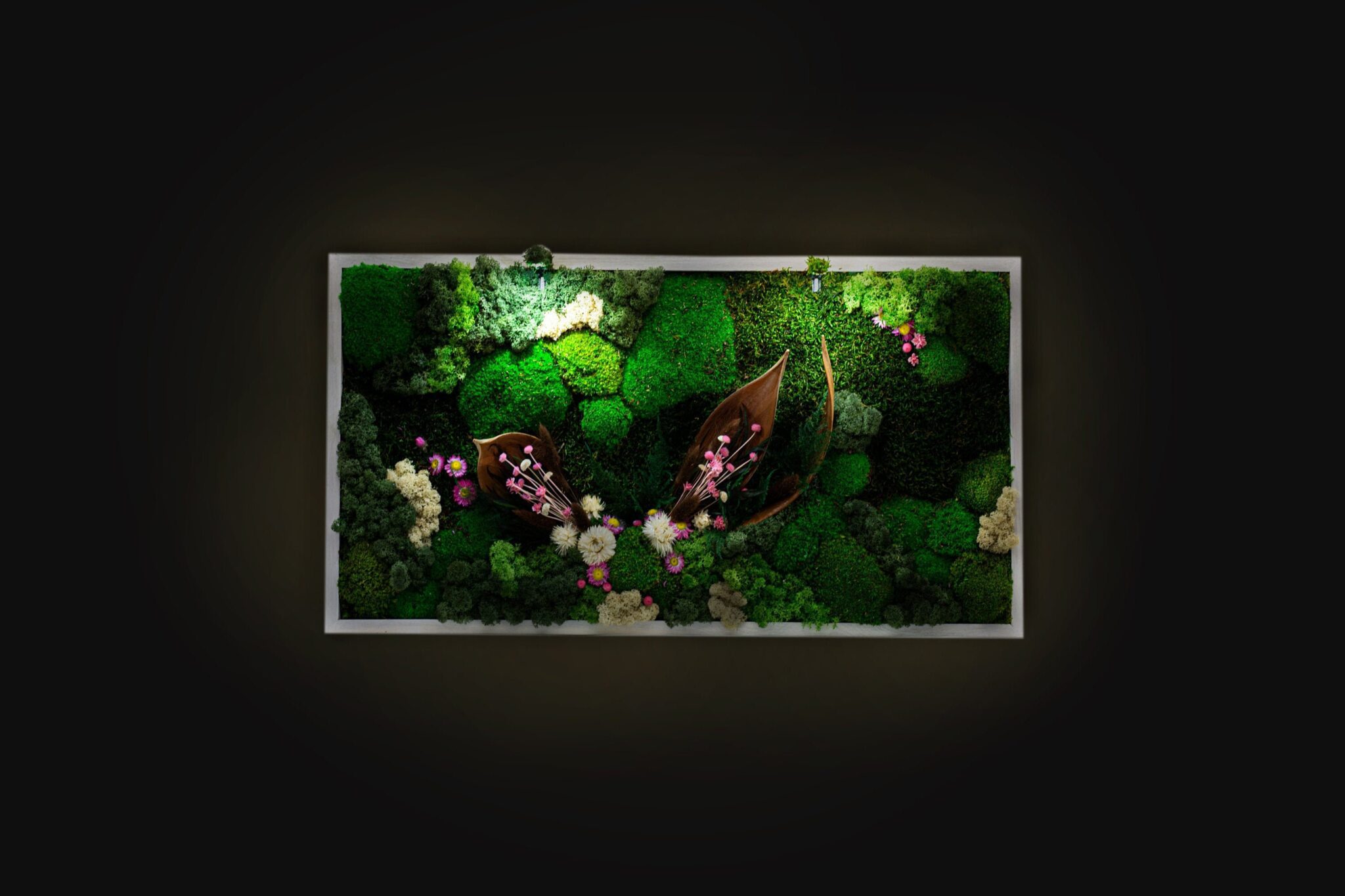 stunning Preserved Moss Wall Art With Led Lights Live Artwork Lighted ...