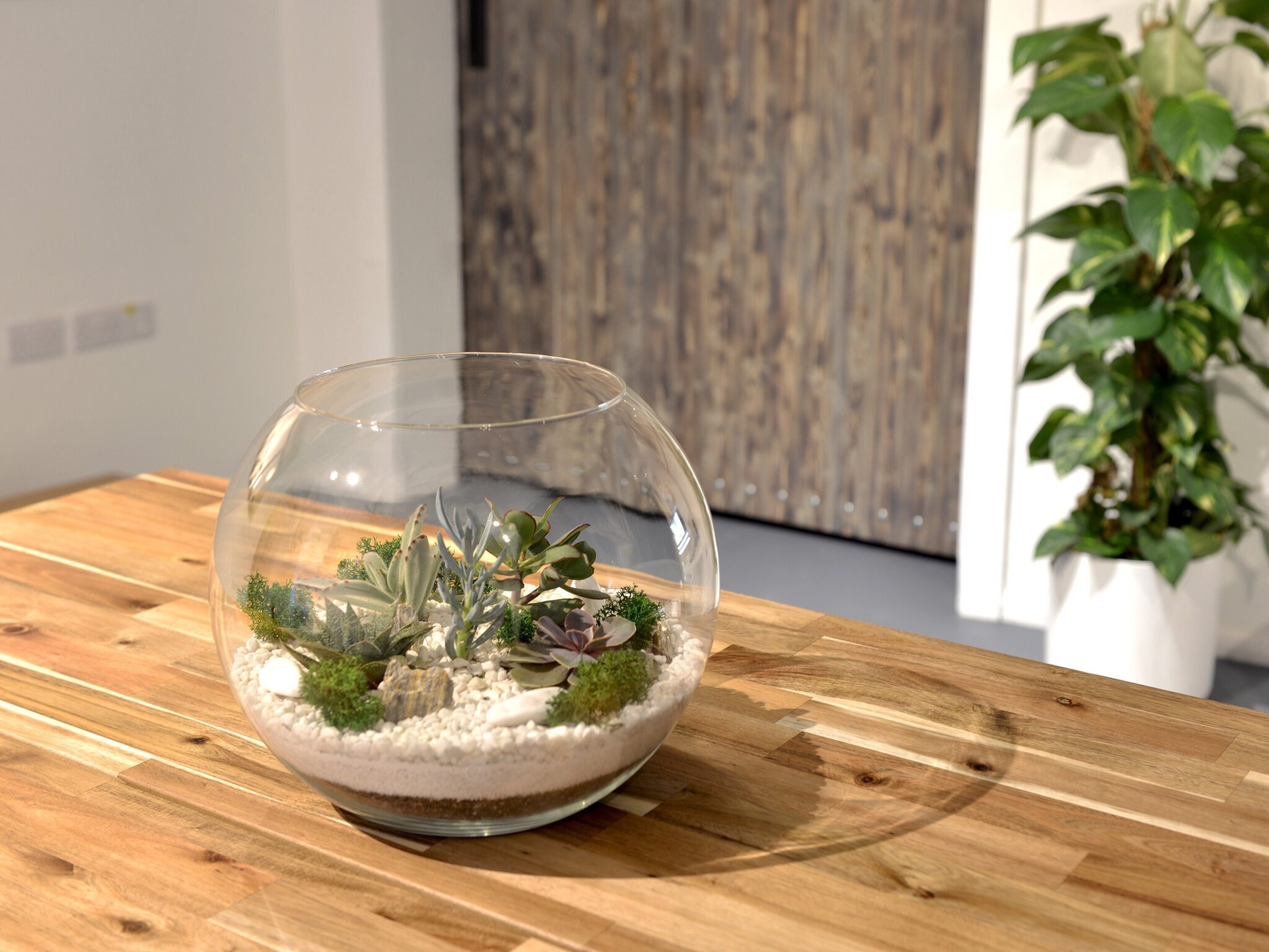 SEI Terrarium Curio Display Console Table - Terrarium Creations