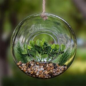 Shop for Terrariums - Terrarium Creations